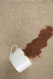 Best Stain Removers Cape Town | Call us - 021 300 1794